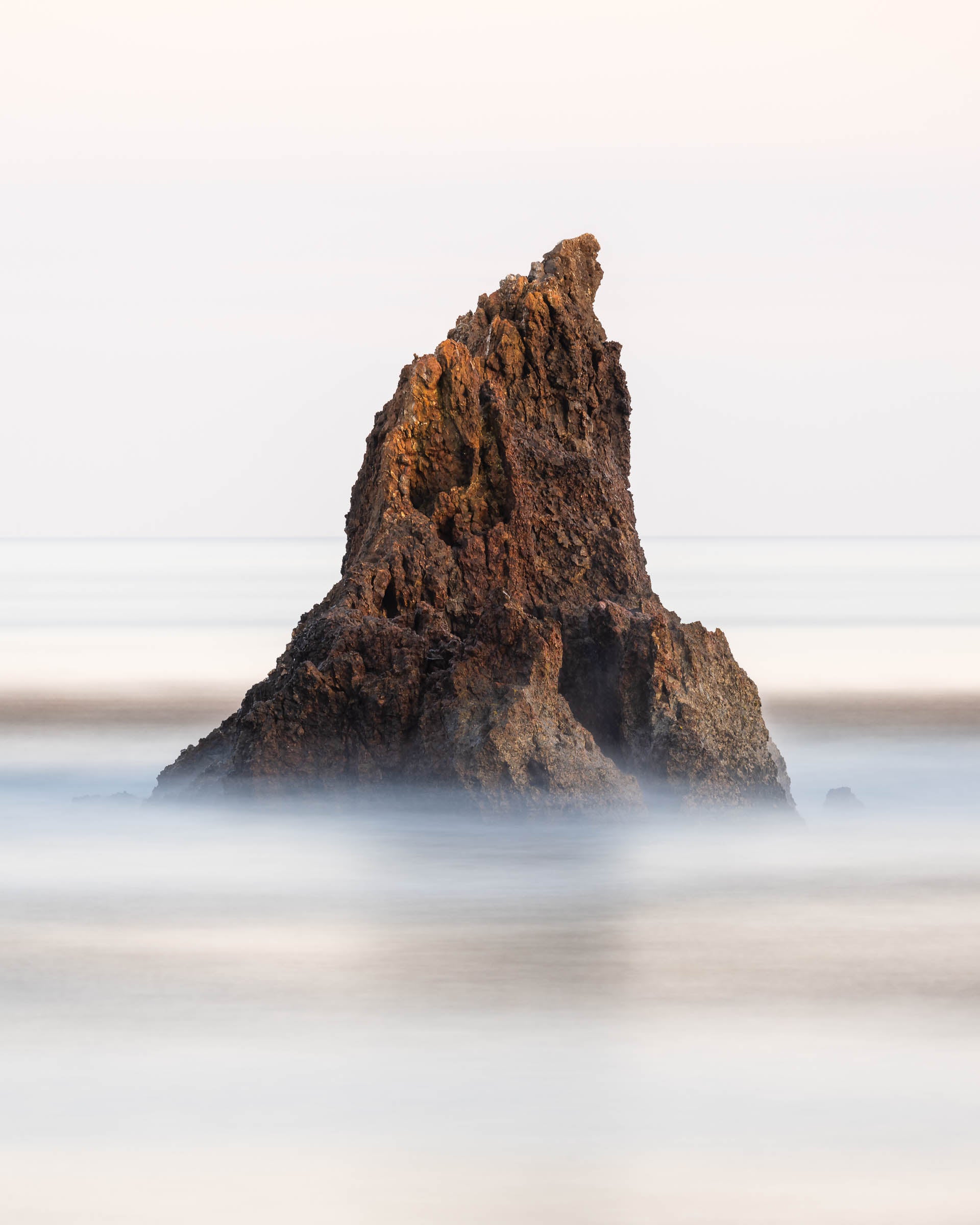 Shark Fin – Brandon Eicher Photography