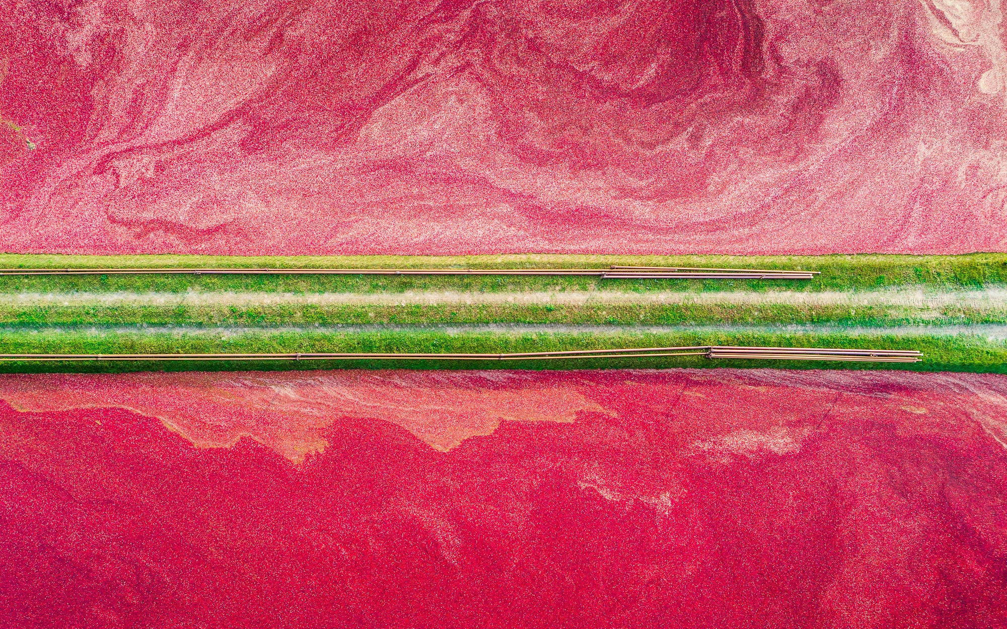 Cranberry Splash – Brandon Eicher Photography