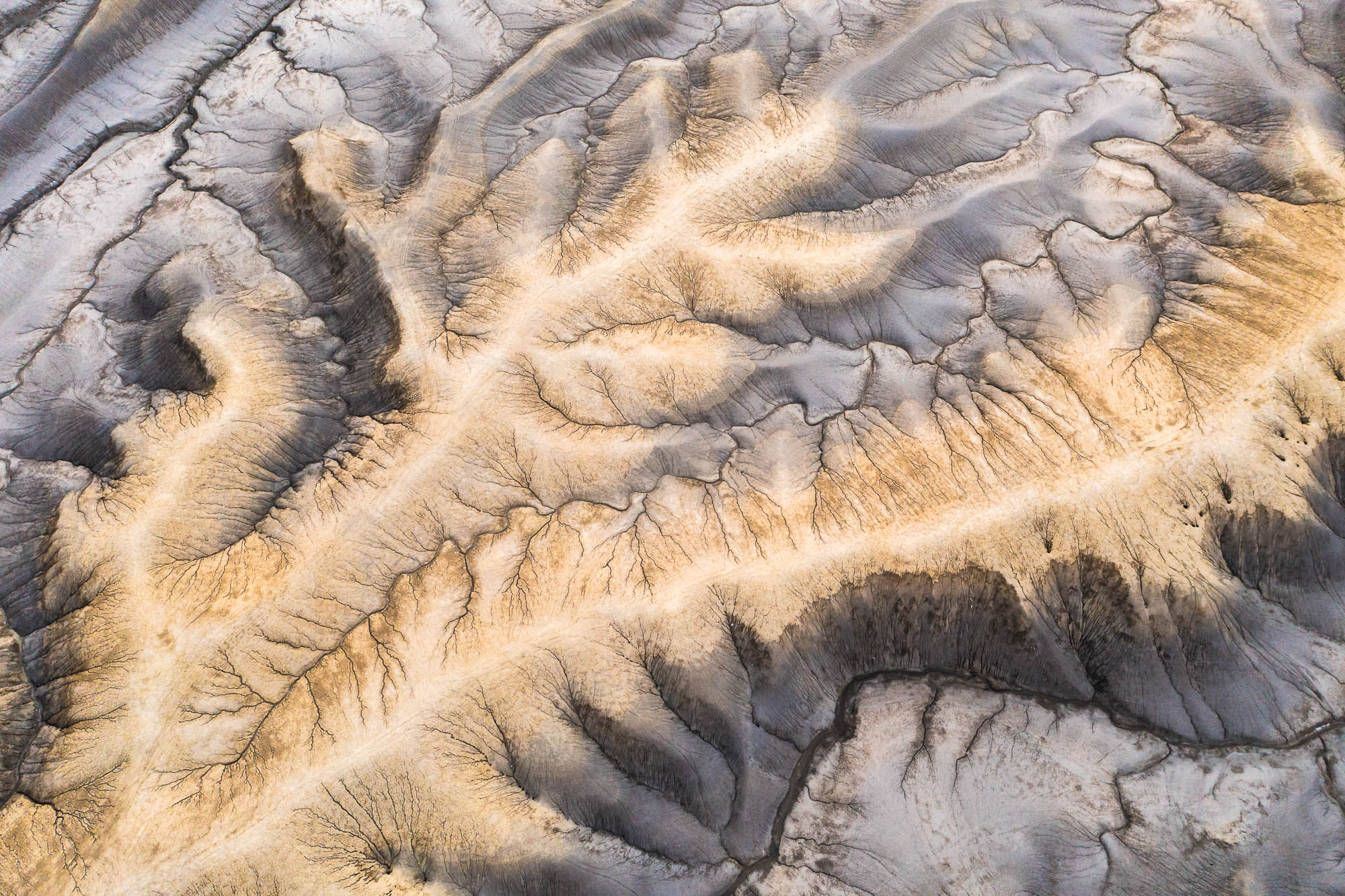 Signature – Brandon Eicher Photography